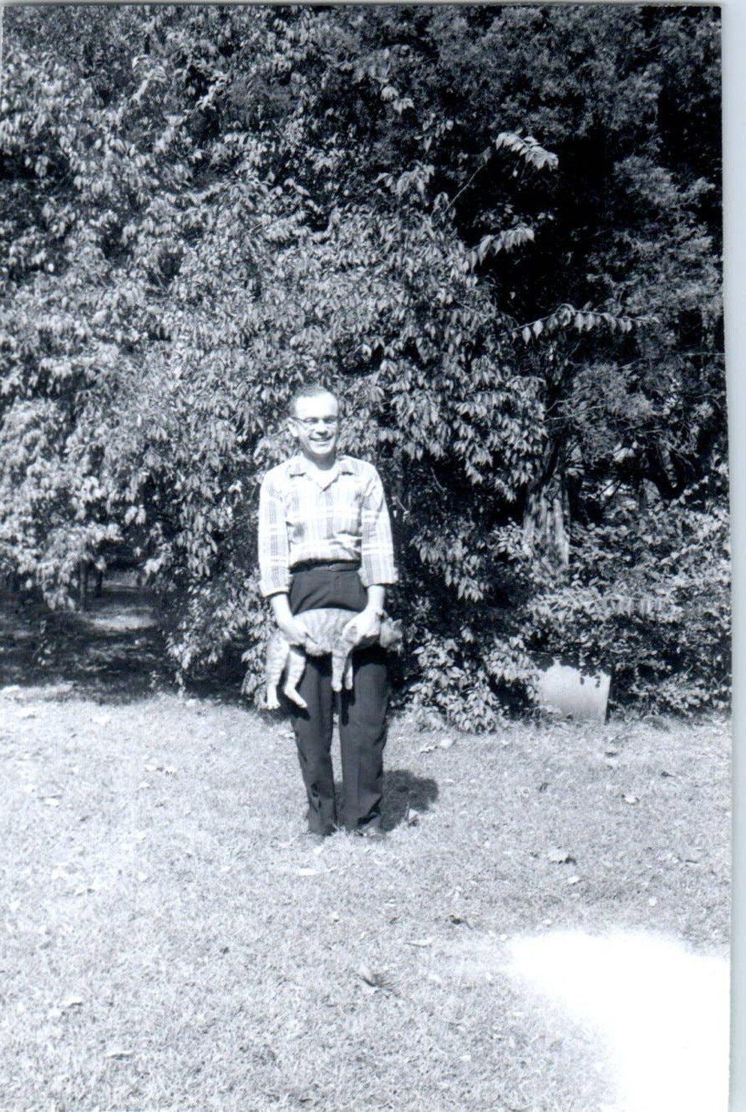 1956 Original Photo Virginia Warren Dean Black Unusual Pose With Cat ...