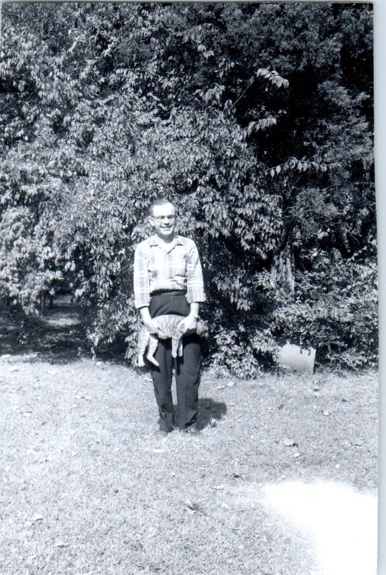 1956 Original Photo Virginia Warren Dean Black Unusual Pose With Cat ...