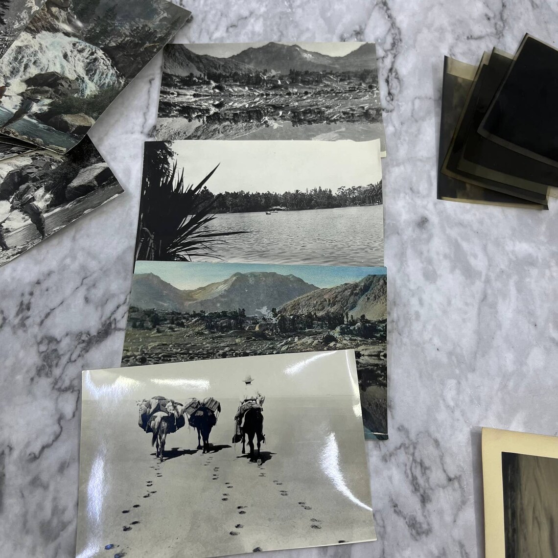 1920s Collection of Photos & Negatives of California Landscape Views ...