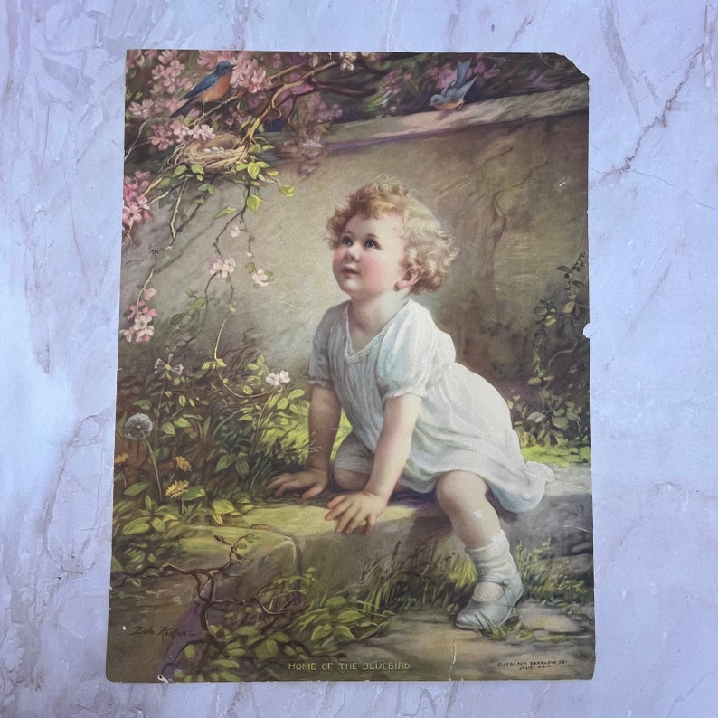 1920's Zula Kenyon Home of the Bluebird Art Print Lithograph 10x13 FL6 ...