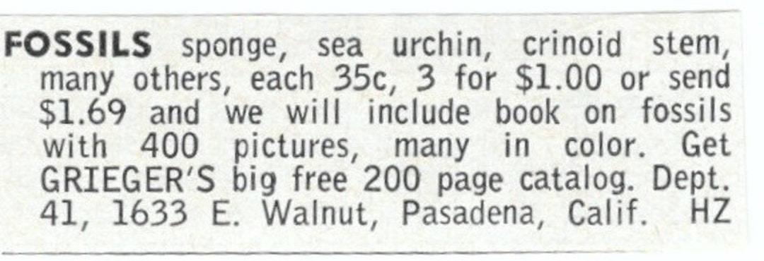 Grieger's Fossils Pasadena CA 1964 Magazine Ad AB6-LJS2 - Etsy