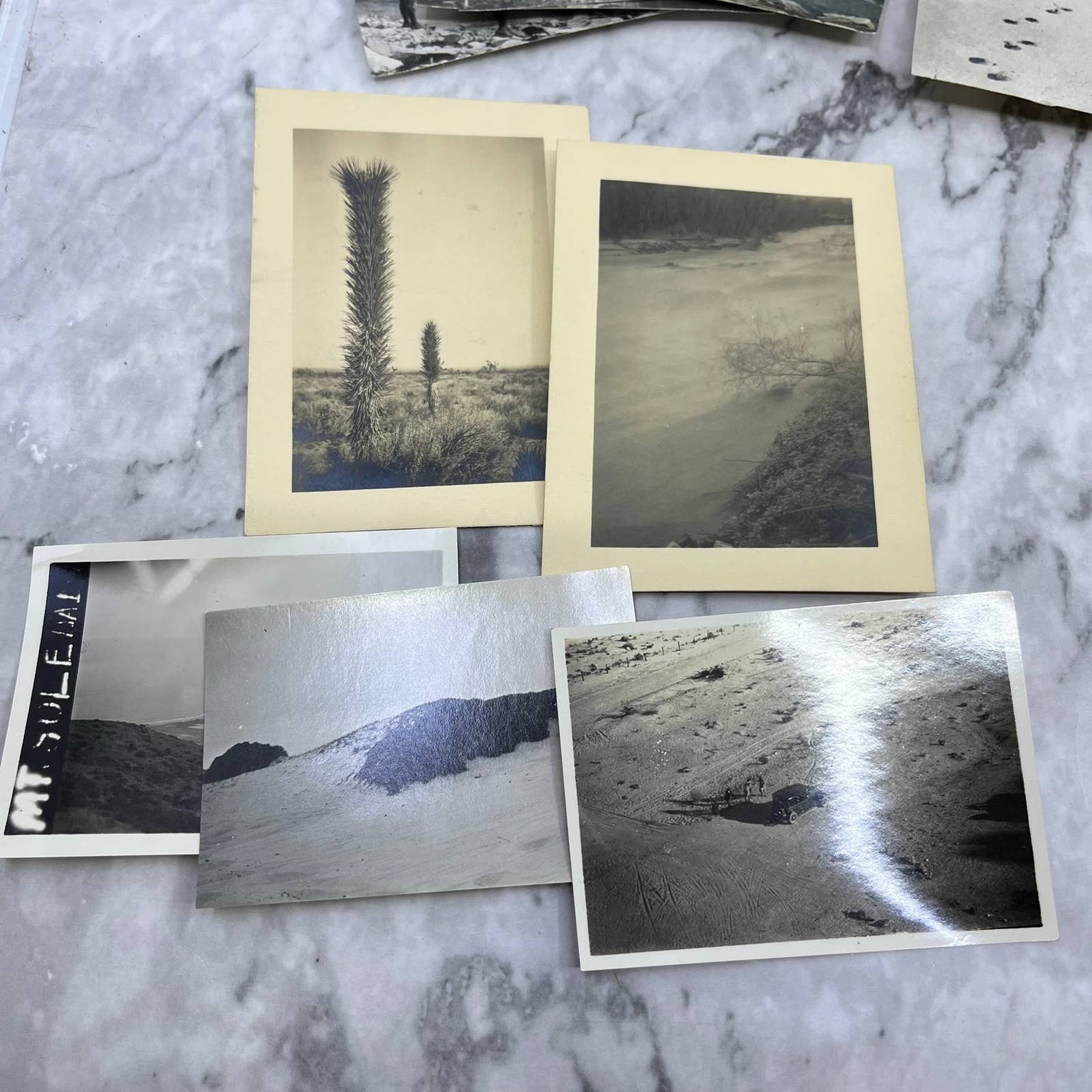 1920s Collection of Photos & Negatives of California Landscape Views ...