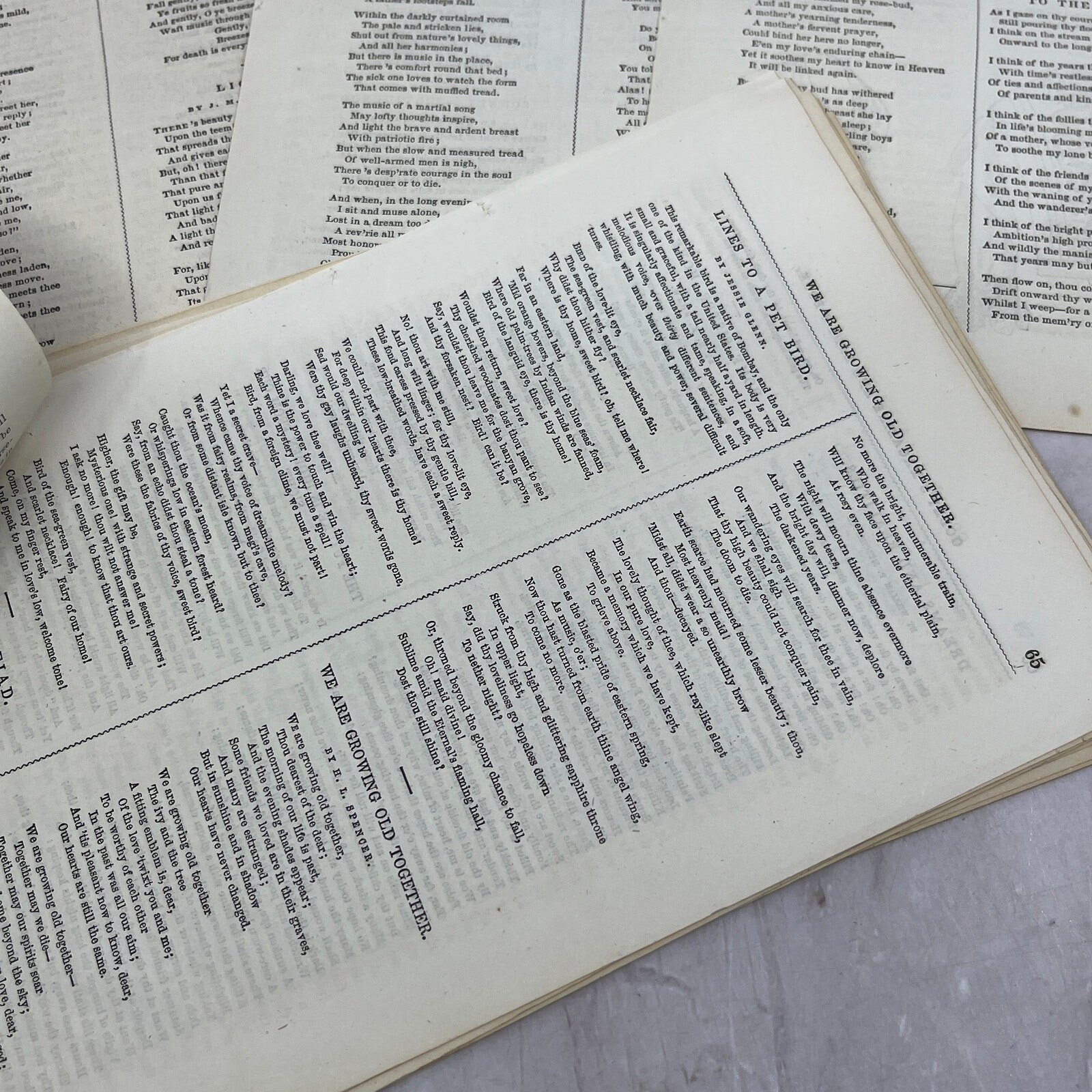 Huge Lot of Original Assorted Poems Poetry From 1857 Godey's Book TH9 ...