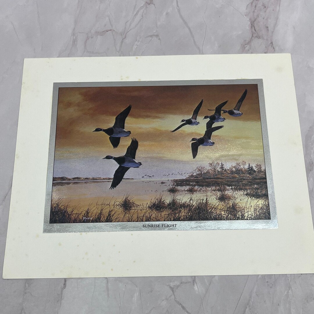 Sunrise Flight Canada Geese by David A. Maass Vtg Chromatic Foil Etch ...