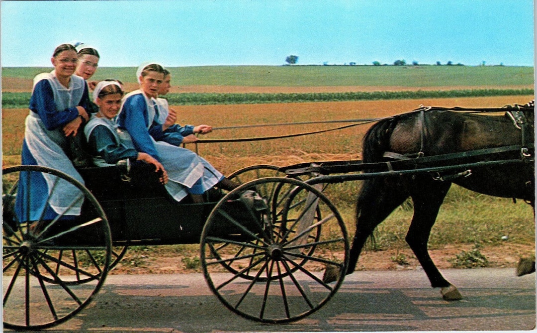 Amish Girls Riding Horse and Buggy After Church Pennsylvania Amish ...