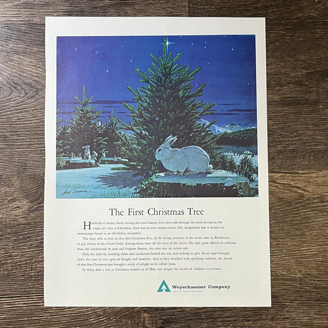 Vintage Weyerhaeuser Co the First Christmas Tree Jack Dumas Magazine Ad ...
