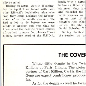 Walter T. Kelley Italian Queen Bees Clarkson KY 1964 Magazine Ad AB6-LB ...