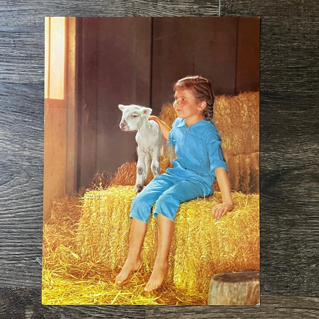 Retro Kitsch Girl in Barn on Hay Bale With Baby Lamb Embossed 7x10 Art ...