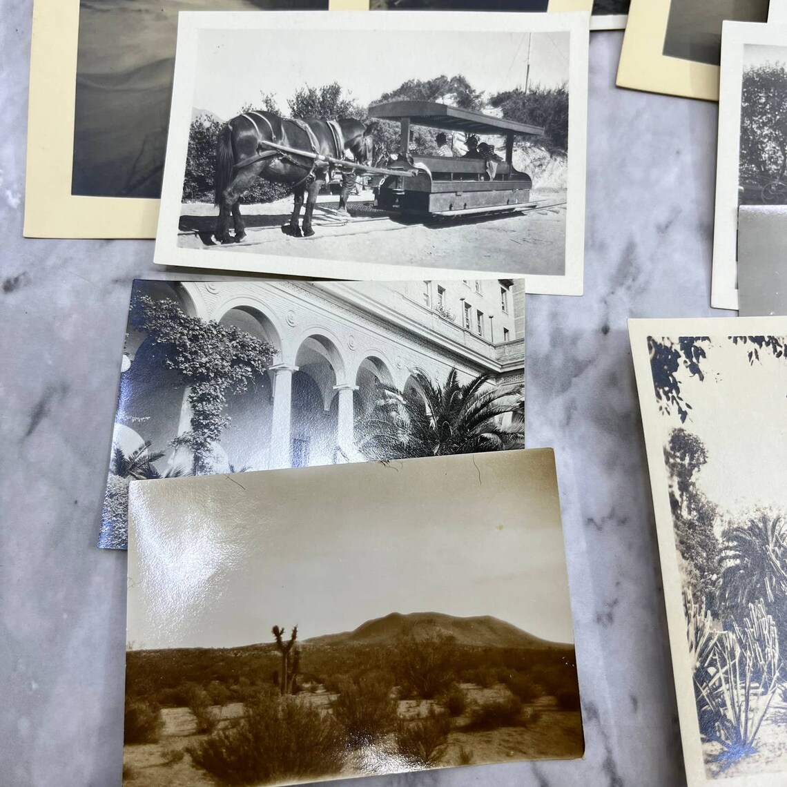 1920s Collection of Photos & Negatives of California Landscape Views ...