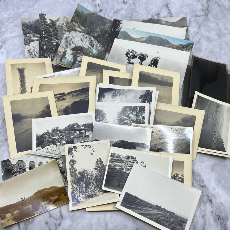 1920s Collection of Photos & Negatives of California Landscape Views ...