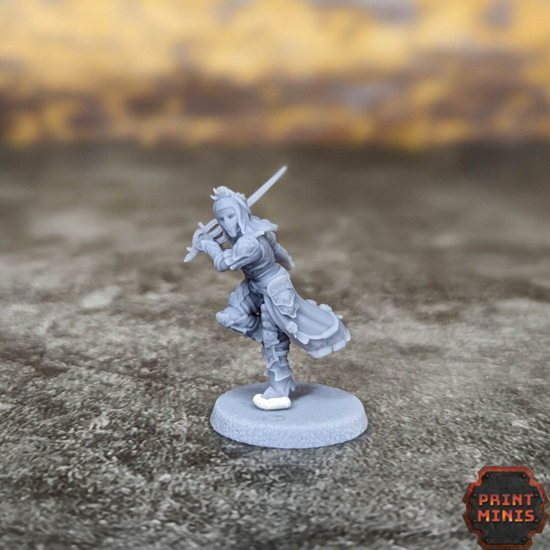 Noble Bodyguard |wargame|tabletop|rpg|20 Mm|28 Mm|32 Mm|miniature|scifi ...