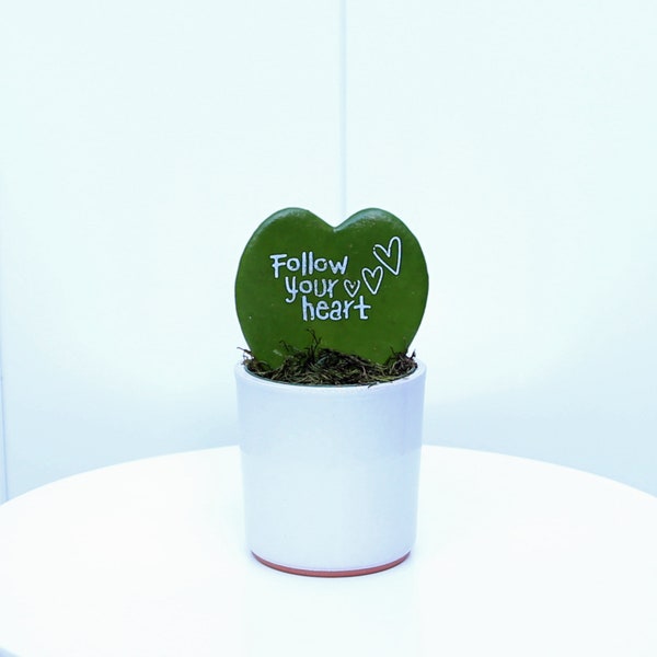 Heart Shaped Pot - Etsy