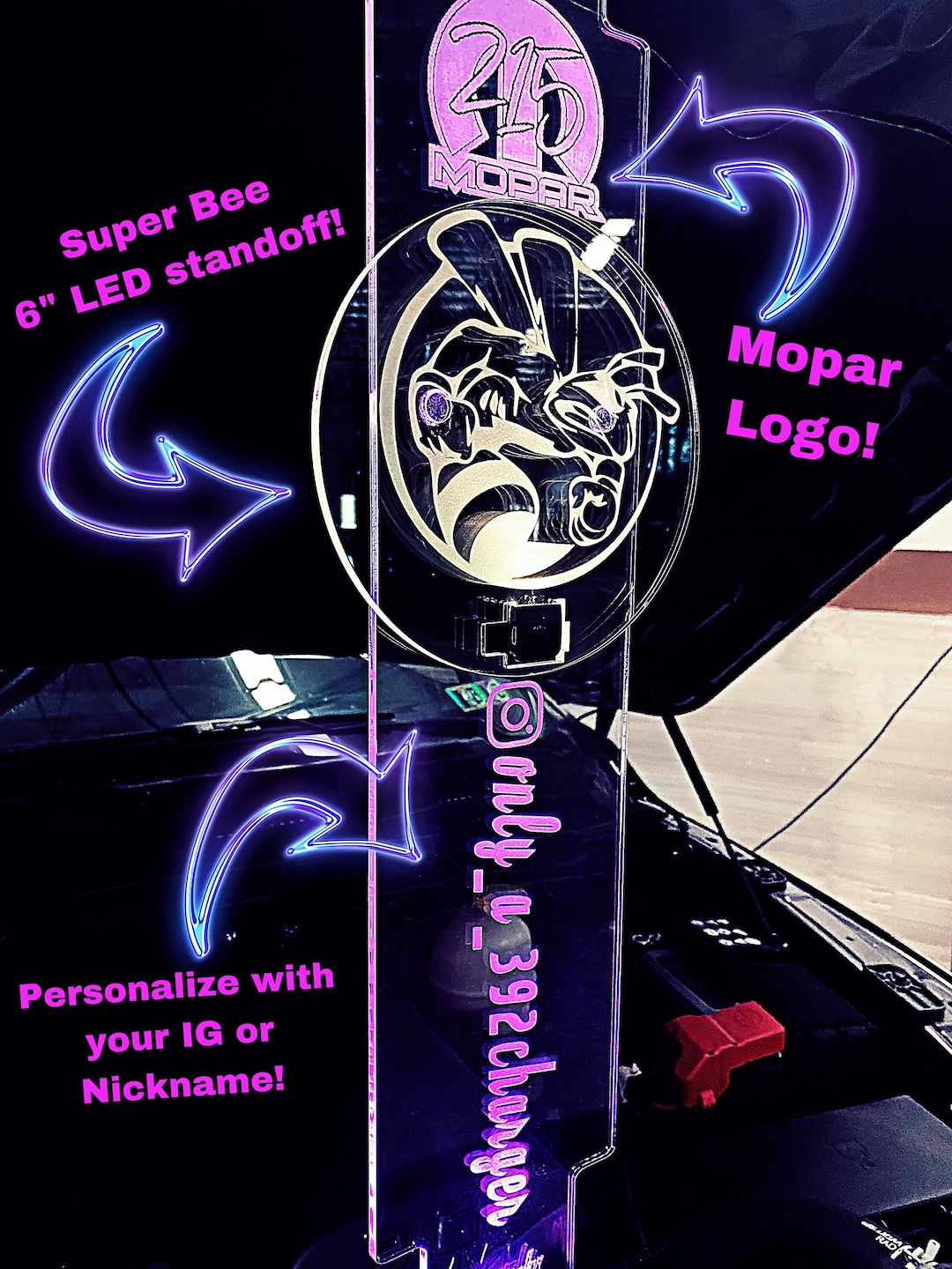 Gnarly's Super Bee, Hellcat, Demon, Angry Bee Car Show Hood Prop Dodge ...