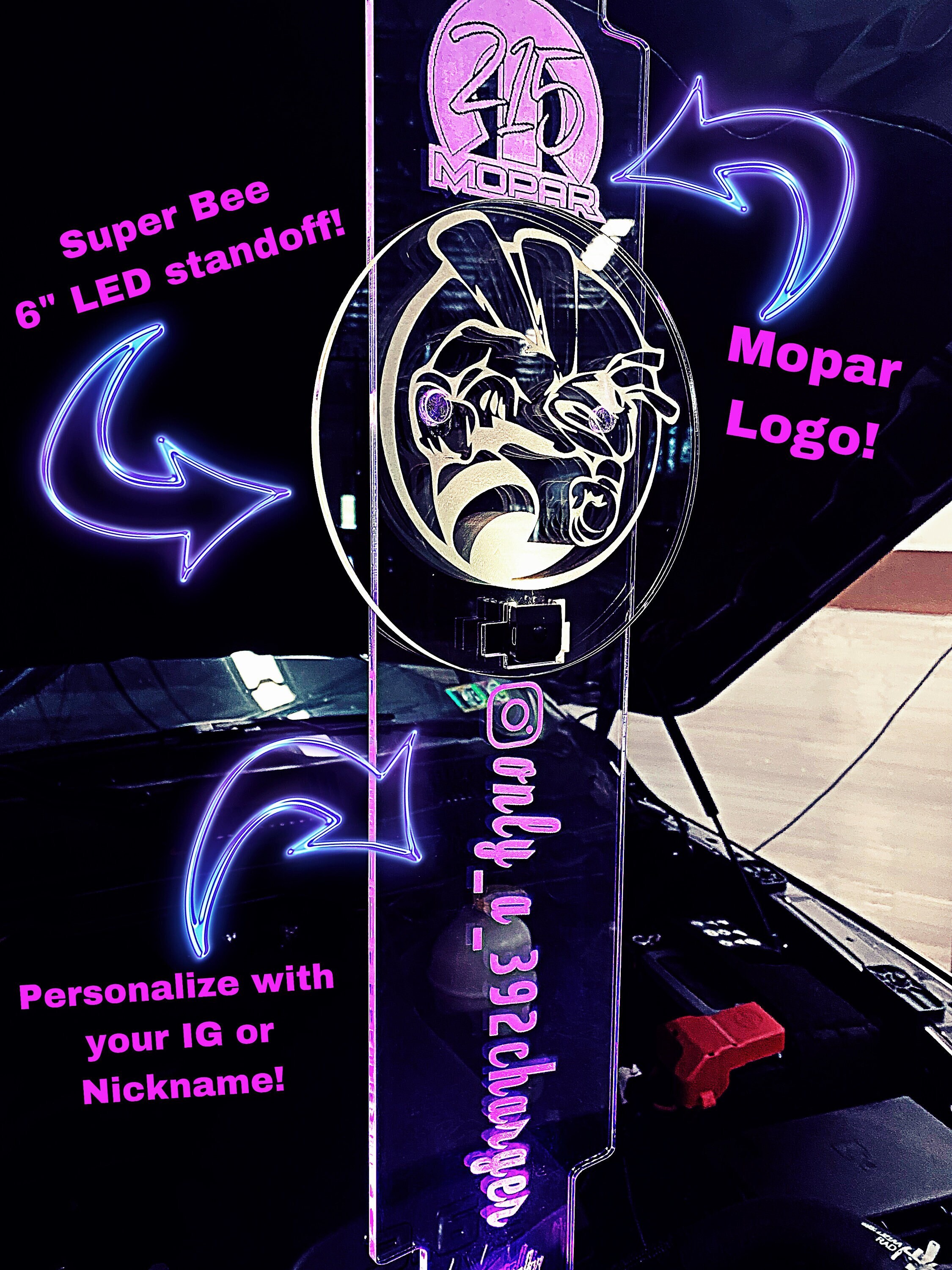 Gnarly's Super Bee, Hellcat, Demon, Angry Bee Car Show Hood Prop Dodge ...