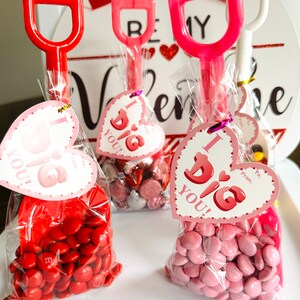 I Dig You Valentines Shovel, M&ms Treat Bag, Valentines Classroom Gift ...