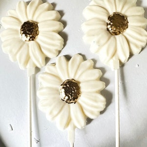 Daisy Chocolate Lollipops/spring Flowers Lollipop/daisy Lollipops ...