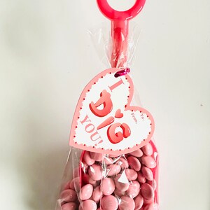 I Dig You Valentines Shovel, M&ms Treat Bag, Valentines Classroom Gift ...