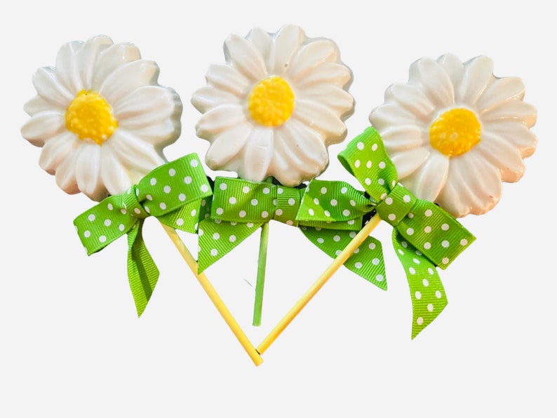 Daisy Chocolate Lollipops/spring Flowers Lollipop/daisy - Etsy