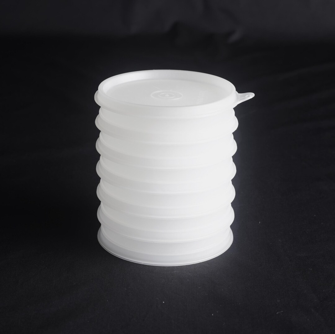 Vintage Tupperware Hamburger Storage Containers Set of 6 With Lid ...