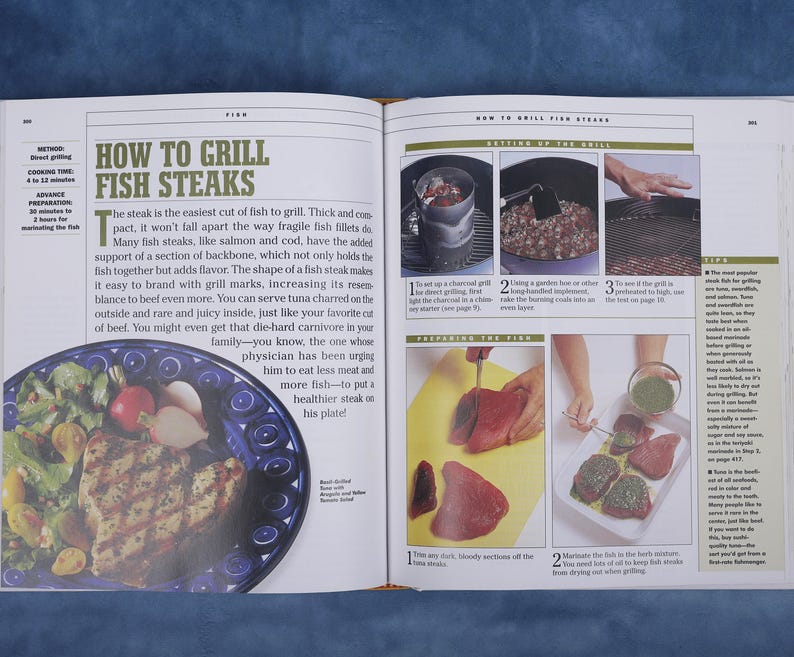 How to Grill by Steven Raichlen – 2001 BBQ Cookbook, Illustrated ...