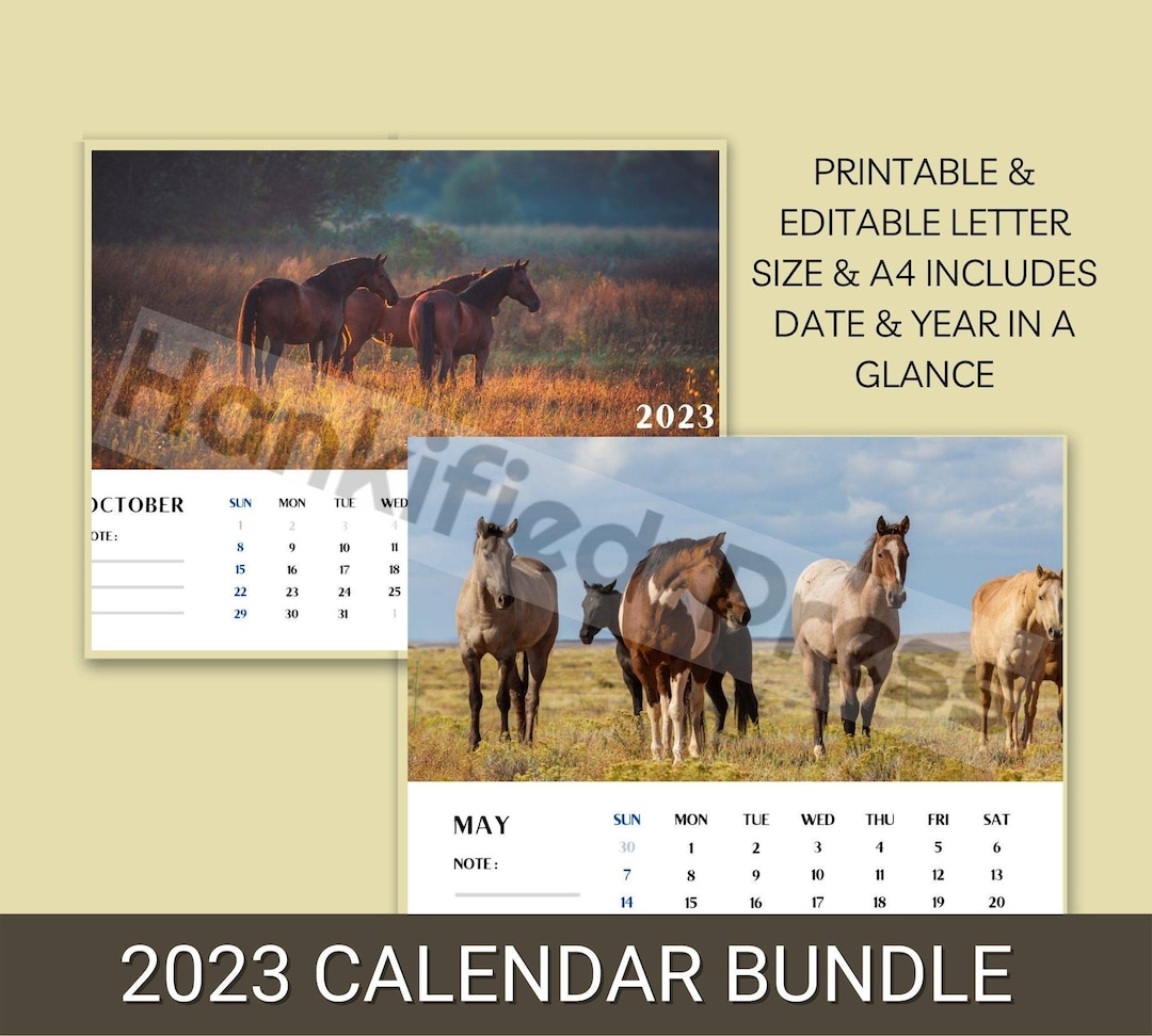 Sexy Stallion Horses 2023 Calendar Printable Calendar 2023 Monthly ...