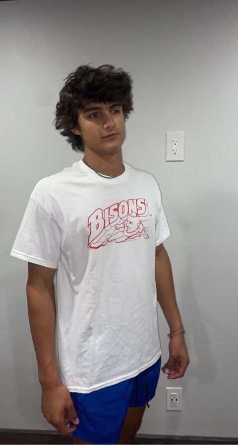 Vintage Buffalo Sliding Bisons Logo - Etsy