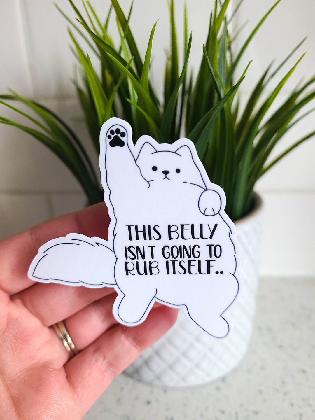 This Belly Isn't Going to Rub Itself, Cat Themed Sticker, Chonky Cat ...