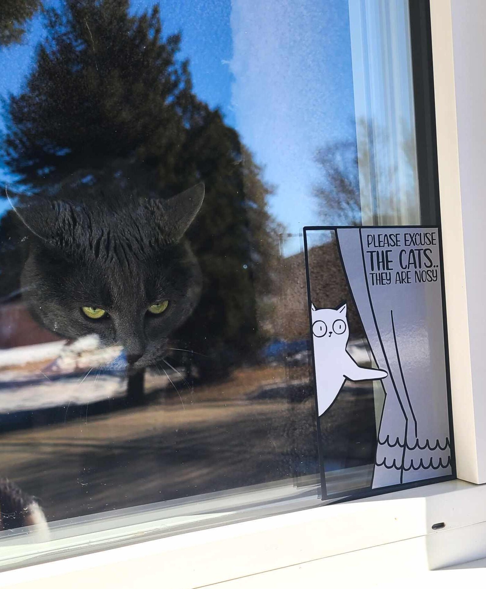Funny Cat Window Decal, Nosy Curious Cat Window Cling, Peeking Cat ...