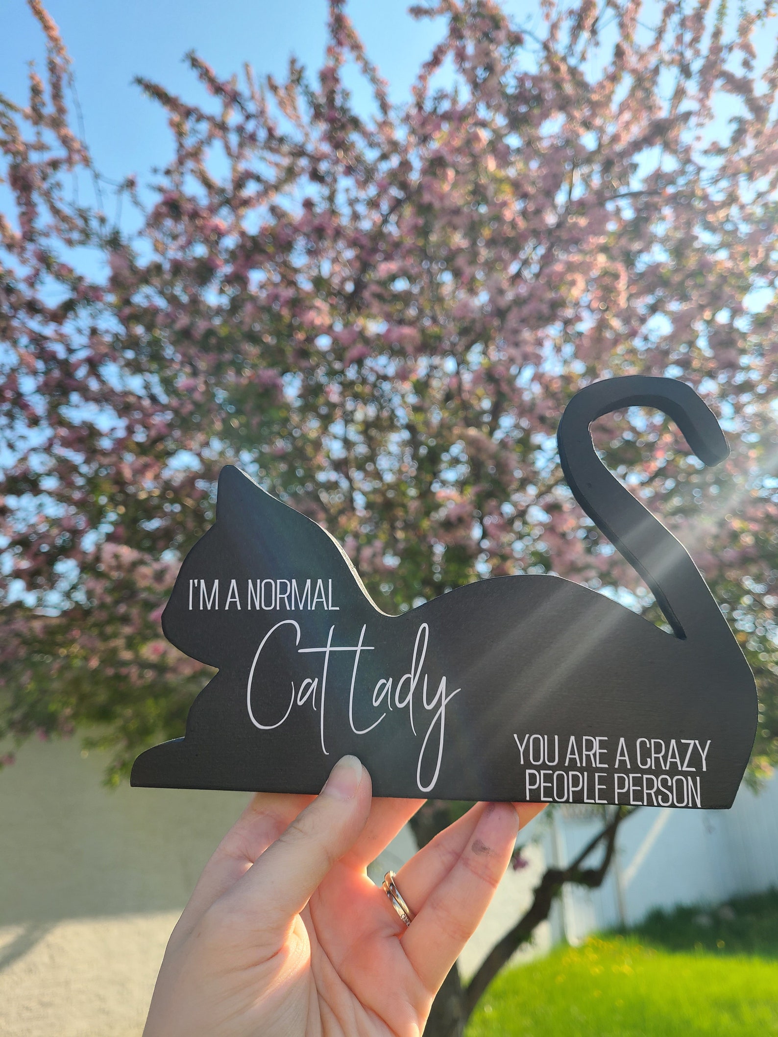 Funny Cat Sign Cat Lovers Decor Crazy Cat Lady Funny Cat - Etsy