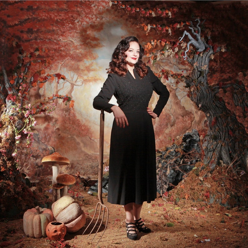 Aris Allen Suede-sole Dance Shoes 1940s Women's Black Velvet Criss ...