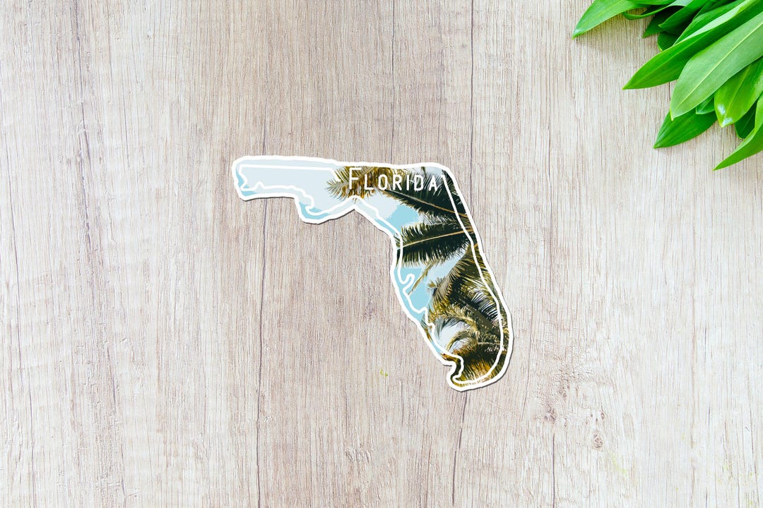 Florida State Sticker, Florida Palm Tree Decal, Water Bottle Sticker ...