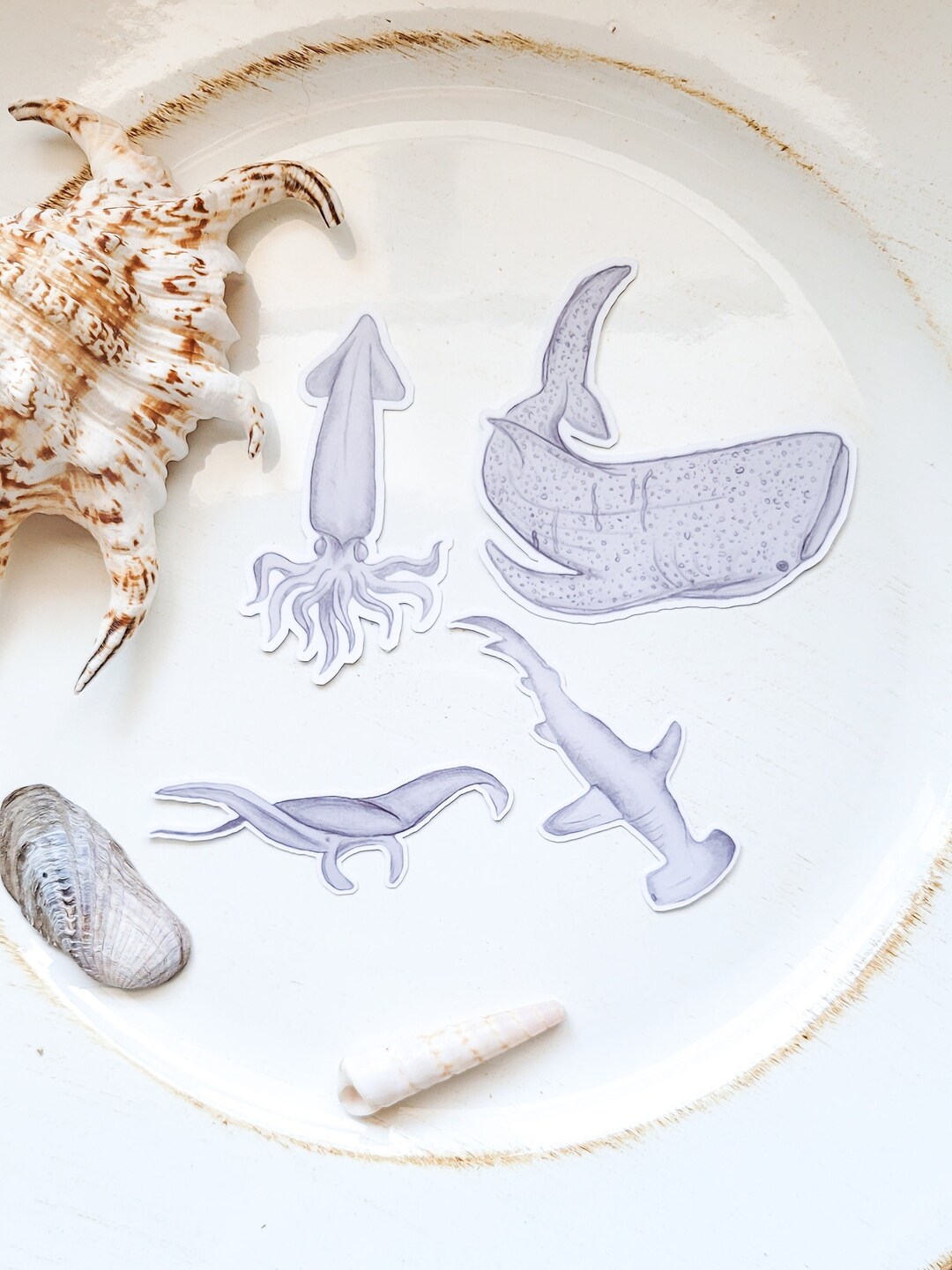 Hand Drawn Sea Creature Stickers: Ocean Life Art Decals - Etsy