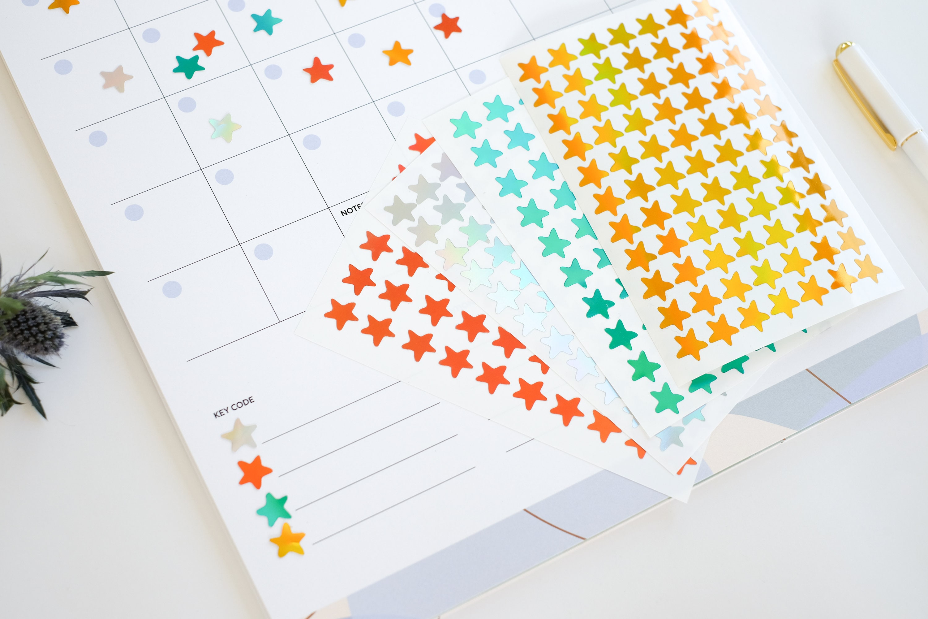 Monthly Habit Tracking Wall Calendar | Undated 12 Months | 11x17 ...