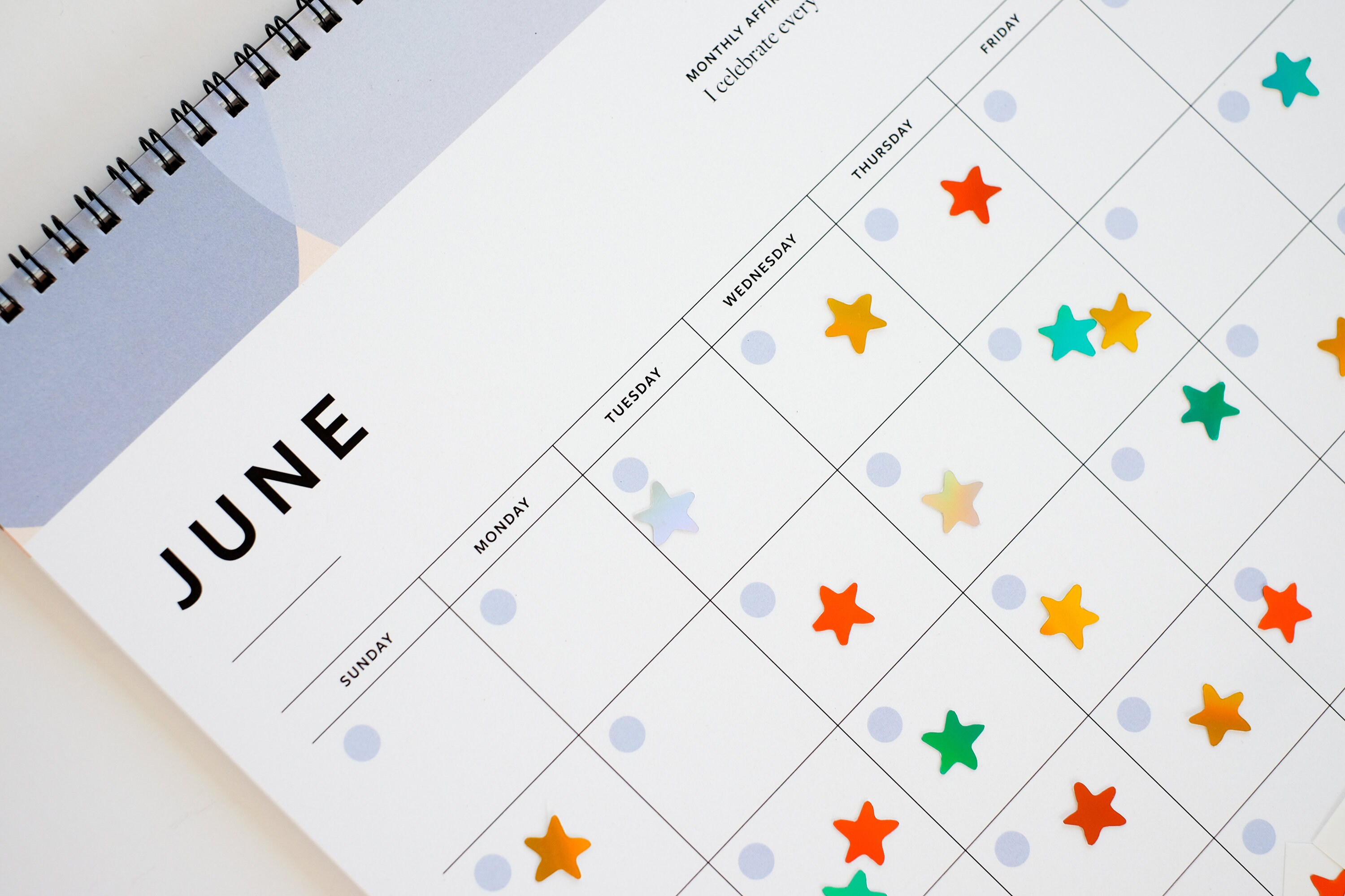 Monthly Habit Tracking Wall Calendar | Undated 12 Months | 11x17 ...