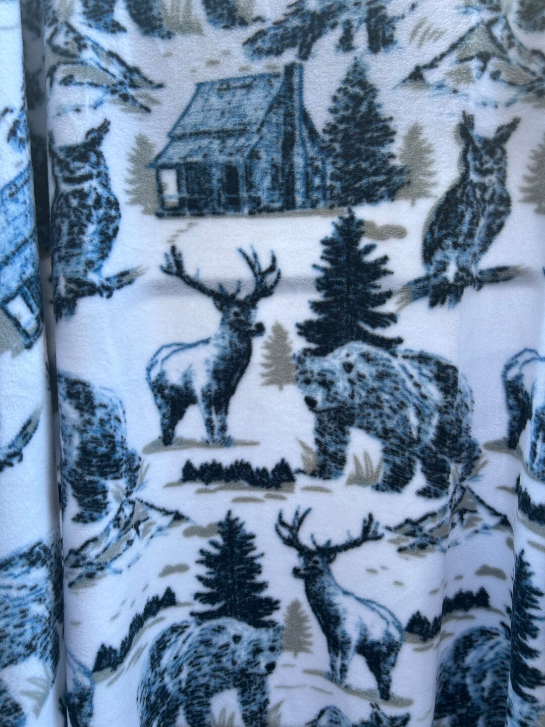 North America Wildlife Grizzly Bear Elk Owls Foxes in - Etsy