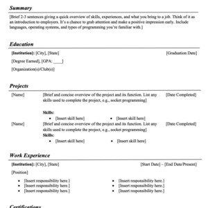 Professional Computer Science Student Resume Template - Etsy