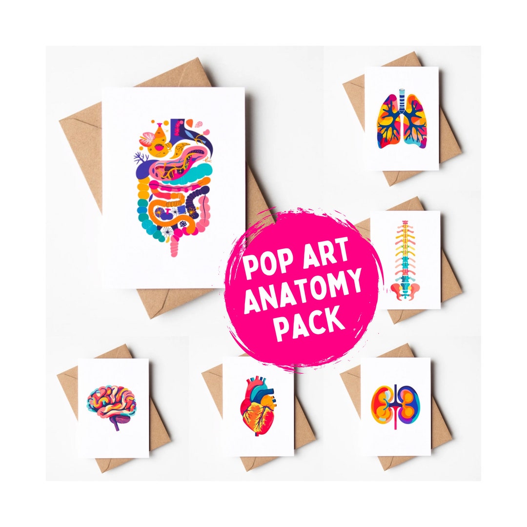 Pop Art Anatomy Pack - Kidney, Brain, Spine, Lungs, Intestine, Heart ...