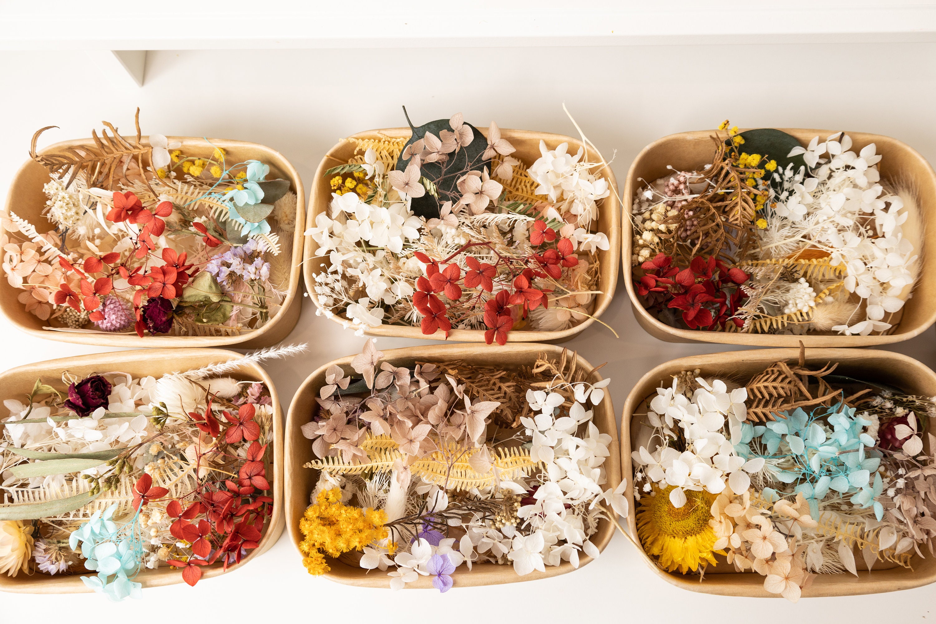 Dried and Preserved Flower Craft Box Dried Flower Confetti - Etsy
