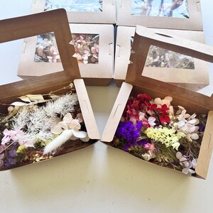 Dried and Preserved Flower Craft Box, Dried Flower Confetti, Diy Resin ...