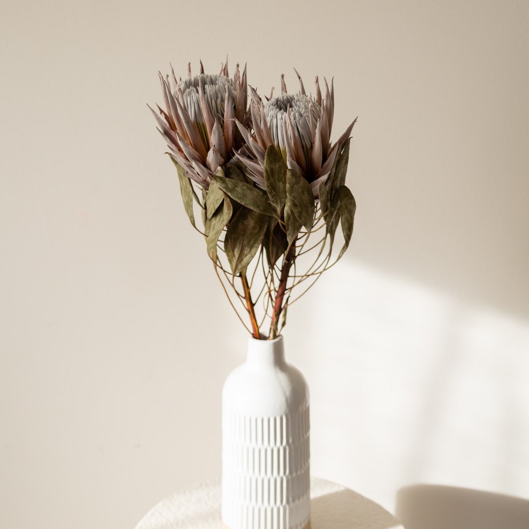 Dried King Protea, Australia Native Flowers, Everlasting Floral, Home ...