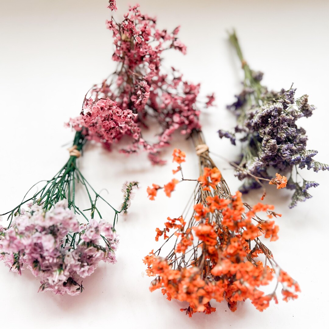 Pastel Dried Statice DIY Flower Kit – Wedding & Craft Flowers) - Etsy