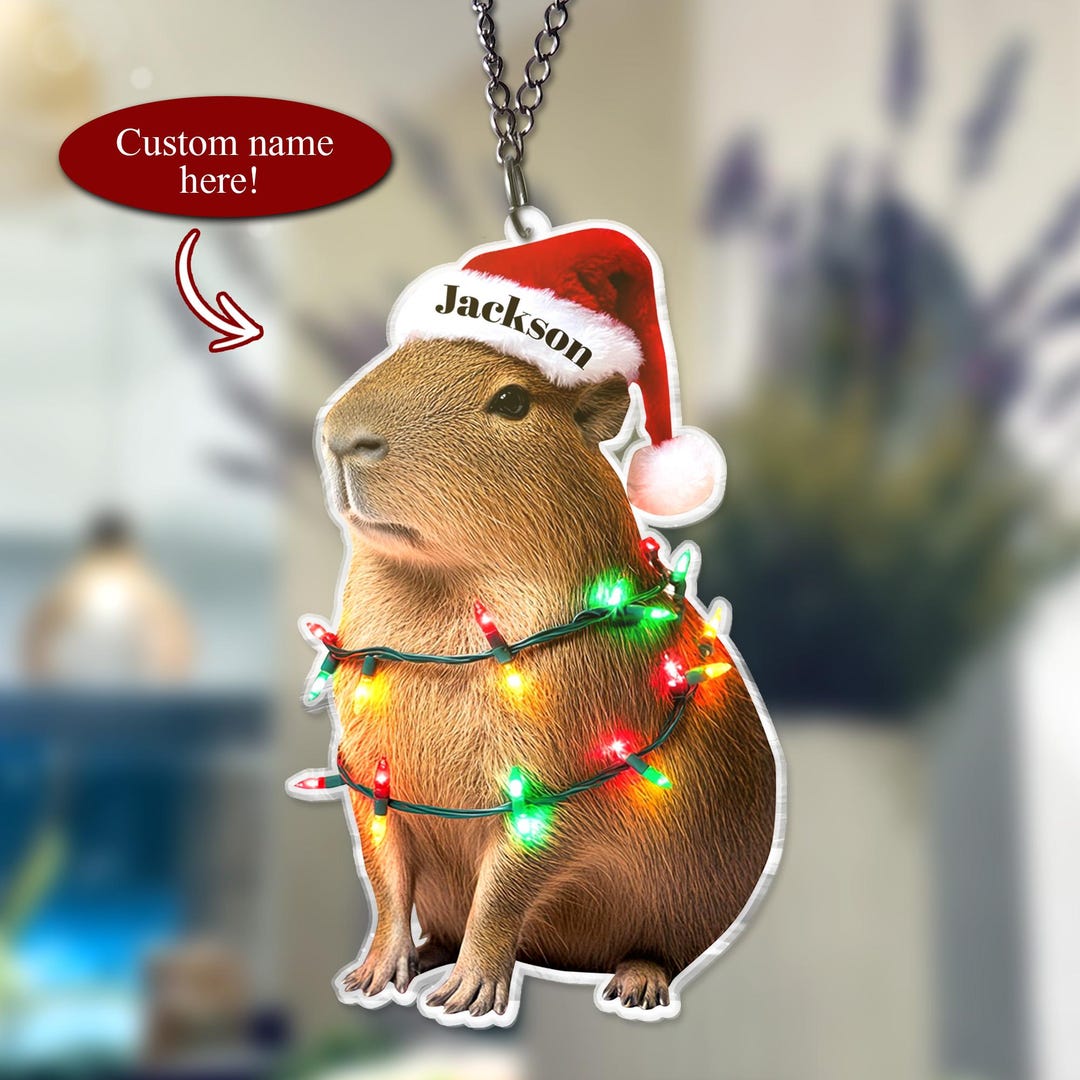 Custom Name Acrylic Window Decor Personalized Capybara Acrylic Ornament ...