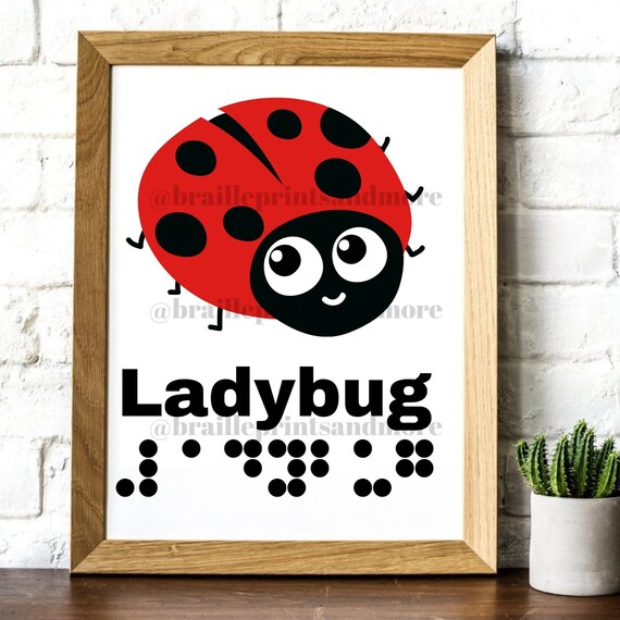 Ladybug Decorations For Classroom