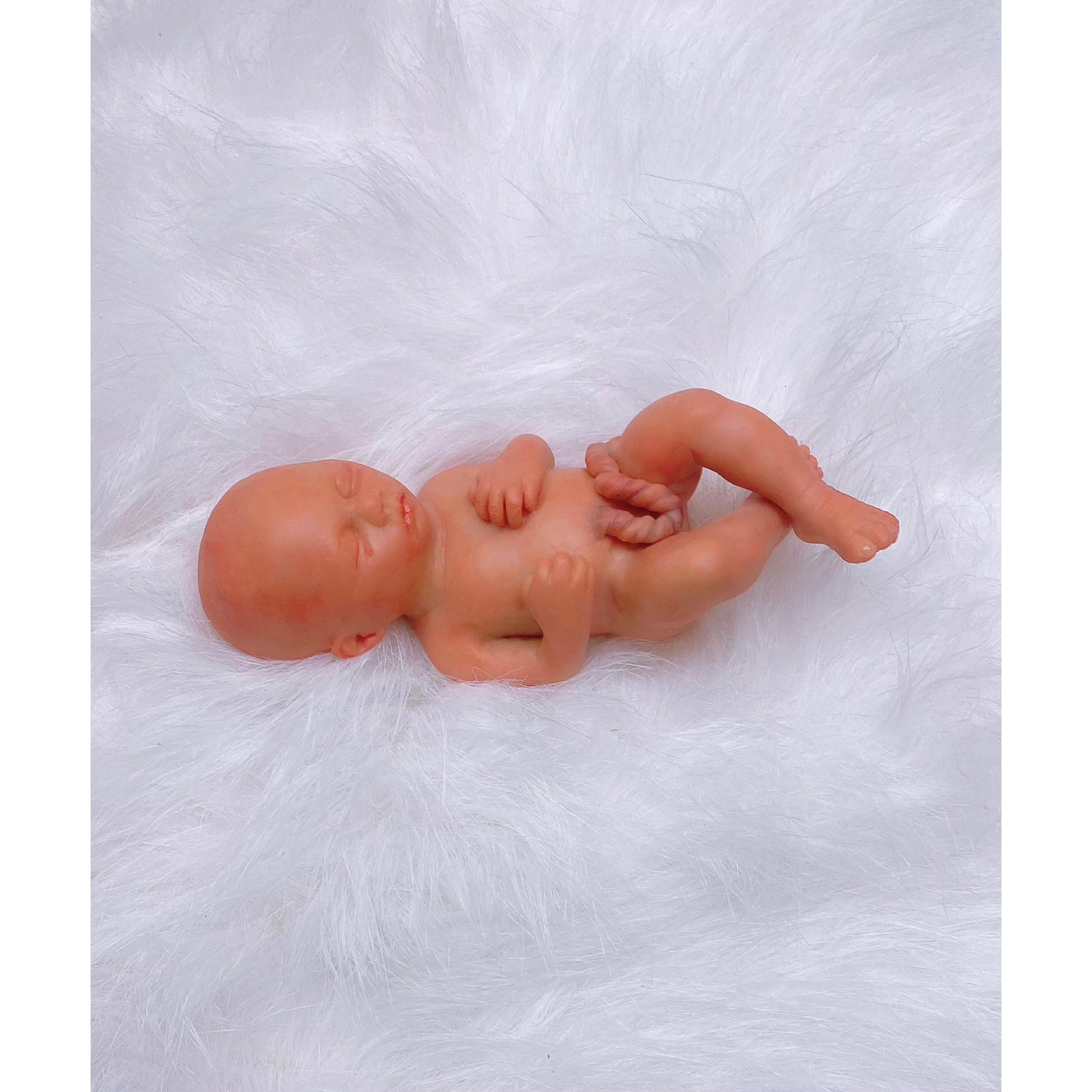 MADE TO ORDER 17 Week Gestation Fetus Stage of Fetal - Etsy