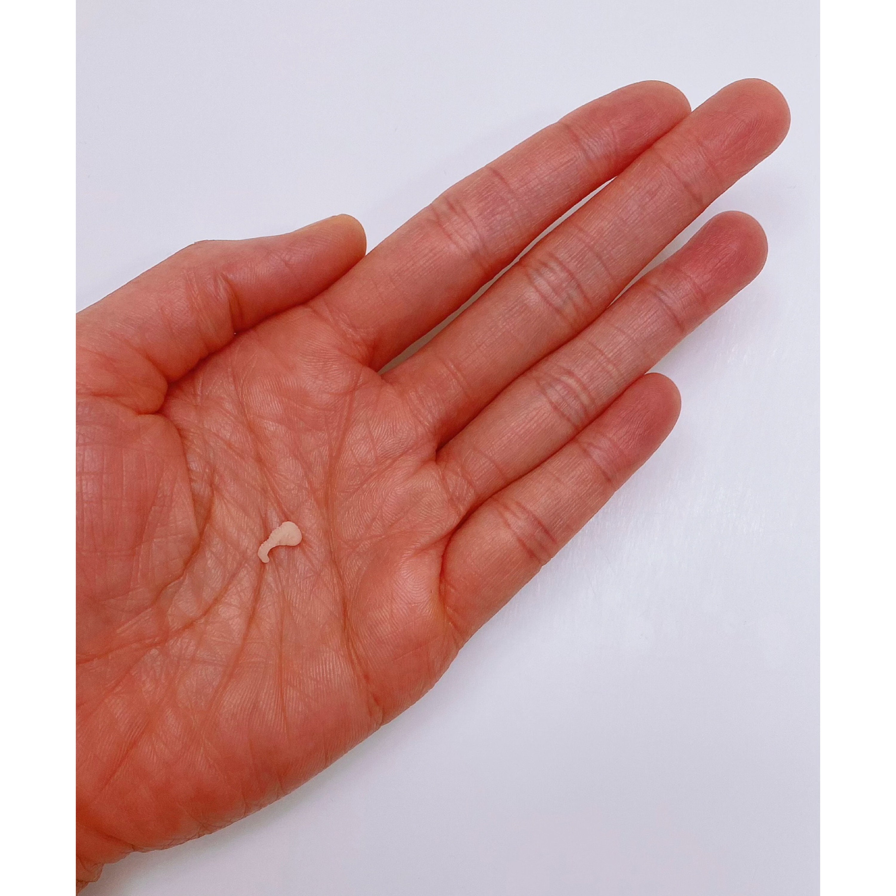 MADE TO ORDER 3 Week Gestation Embryo, Stage of Fetal Development ...