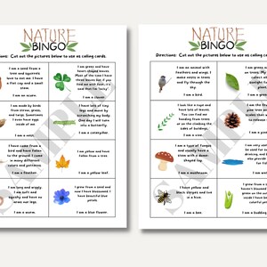Nature Bingo - 10 Unique Game Cards, Forest Bingo, Nature Activity ...