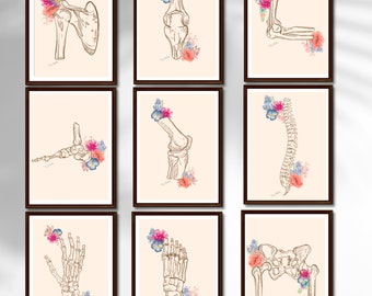Human Anatomy Poster Set - Etsy