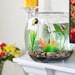 DIY Self Cleaning Conversion Kit for Anchor Hocking, 2 Gallon Fishbowl ...