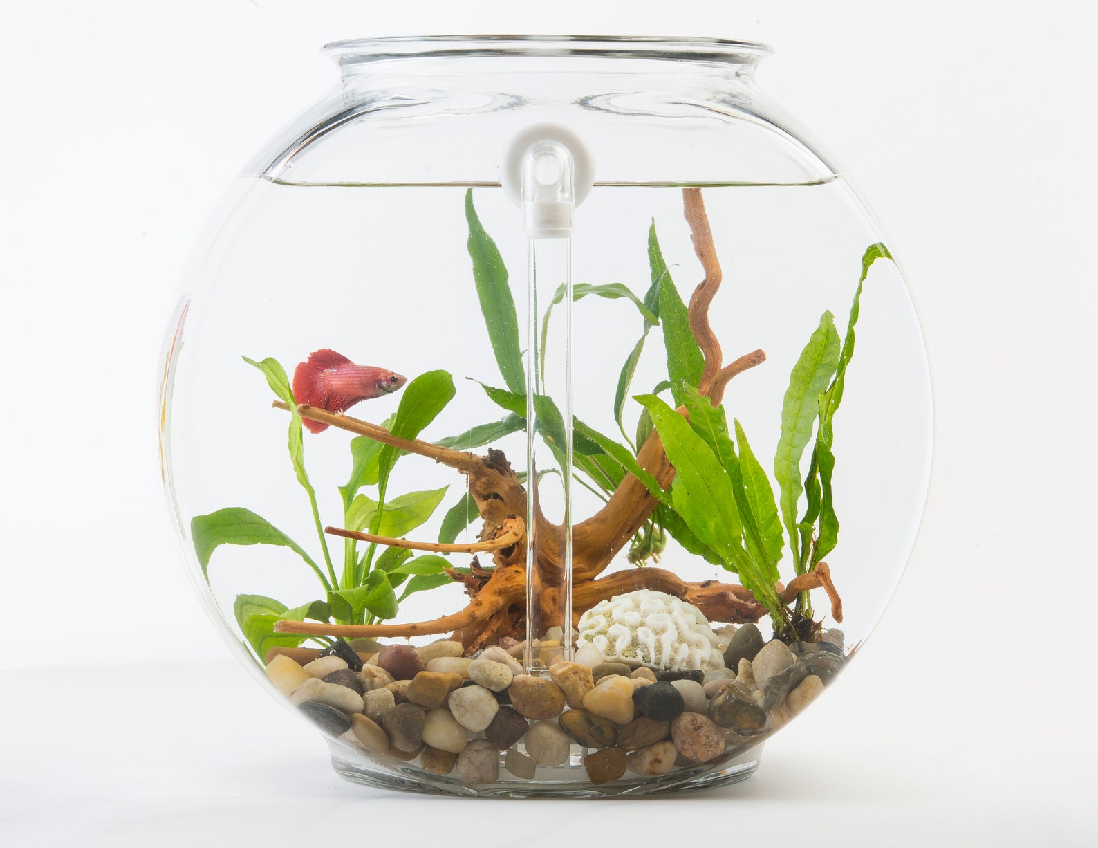 DIY Self Cleaning Conversion Kit for Anchor Hocking, 2 Gallon Fishbowl ...
