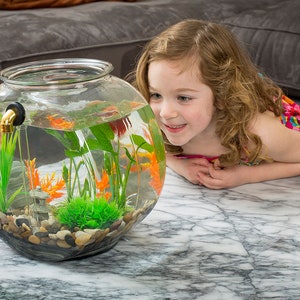 DIY Self Cleaning Conversion Kit for Anchor Hocking, 2 Gallon Fishbowl ...